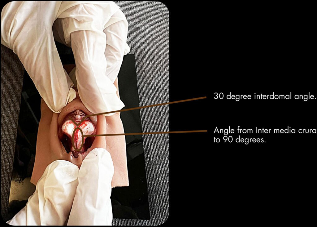 iNose 1 – iFaceSimulator