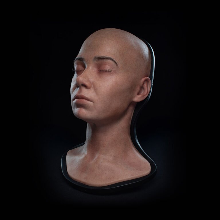 Interactive Facial Simulator – iFaceSimulator